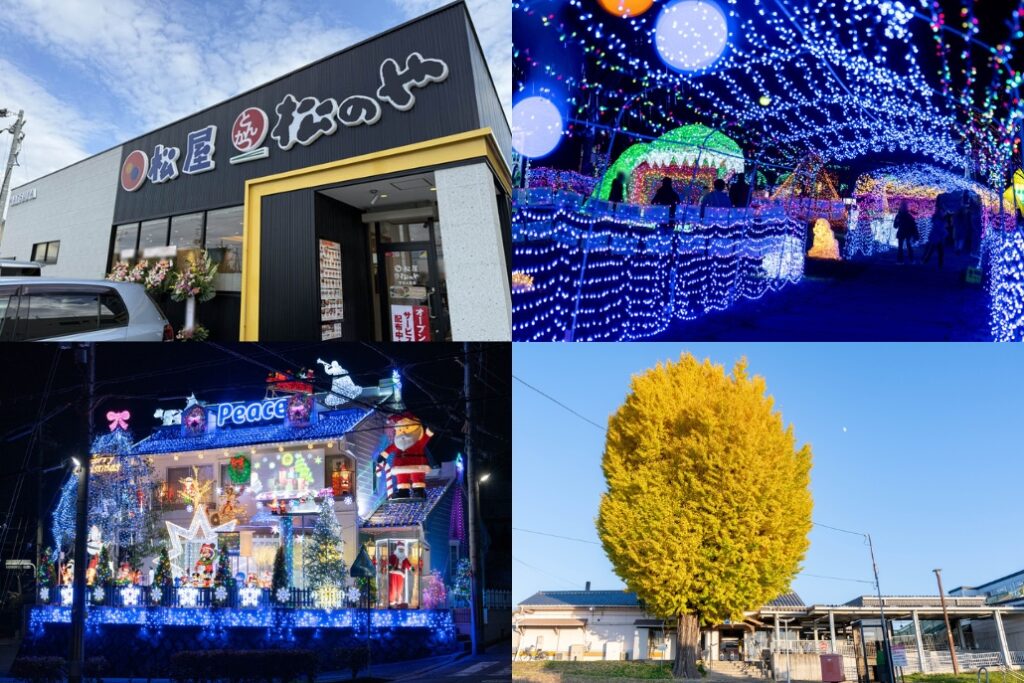 ＜週刊ALCO＞11月29日～12月5日の京都府山城地域【松屋・松のや 複合店／とんかつ食堂／クリスマスイルミネーション】 - ALCO 宇治・城陽 山城地域の情報サイト